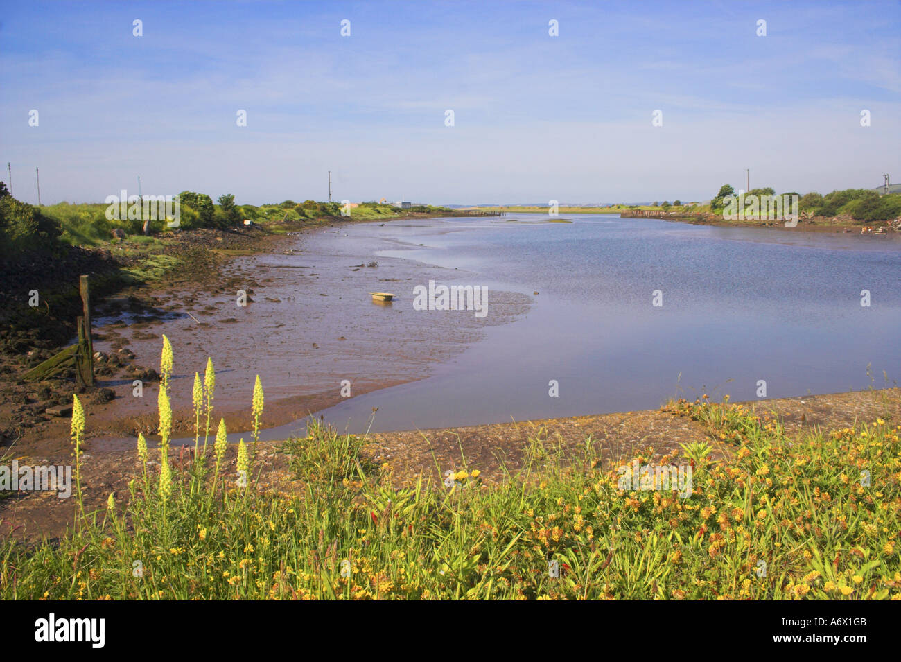 General View Brunel Dock Briton Ferry South Wales Stock Photo - Alamy