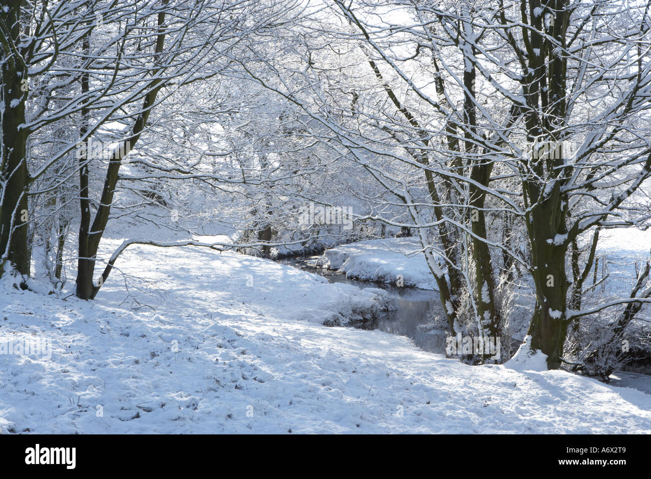 snow covered woodland valley with leafless trees Stock Photo - Alamy