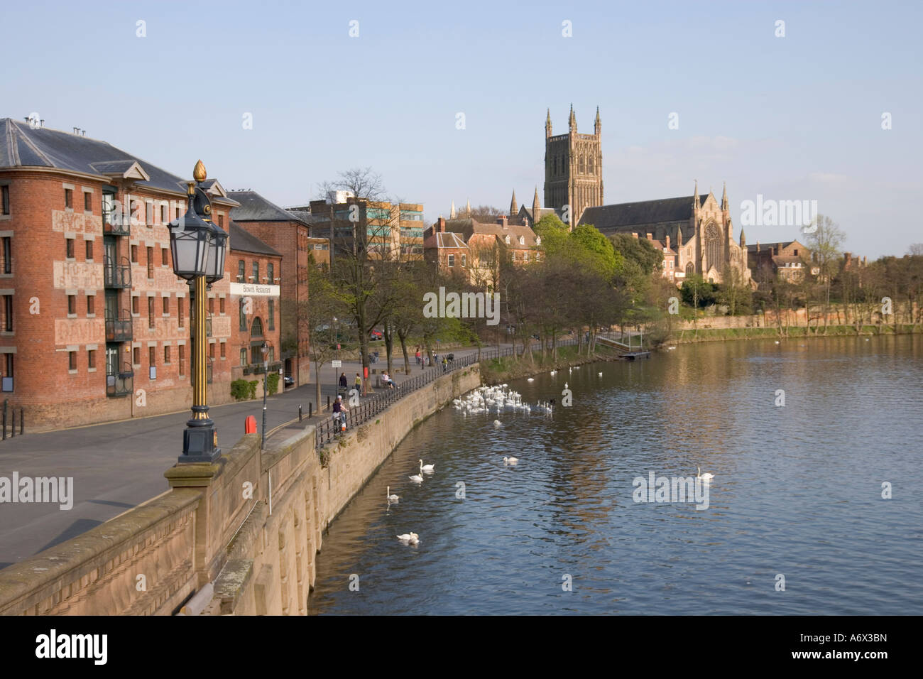 Cathedral and riverside, River Severn, Worcester, Worcestershire ...