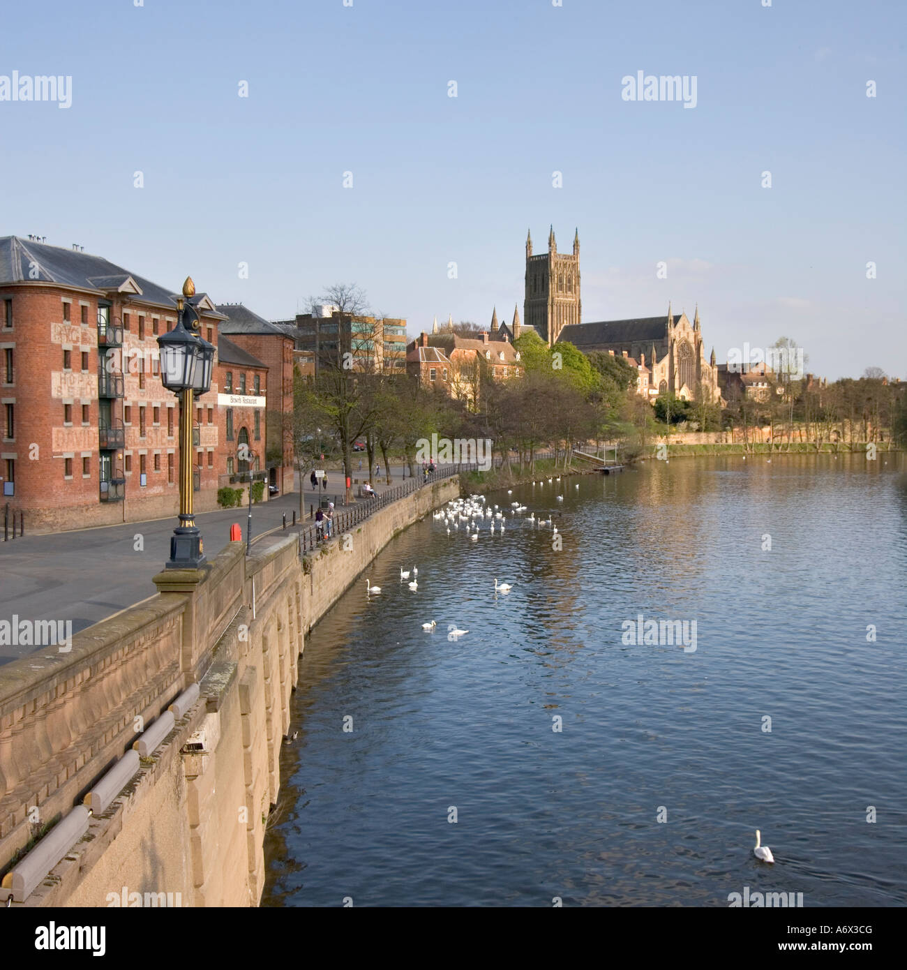 Cathedral and riverside, River Severn, Worcester, Worcestershire ...
