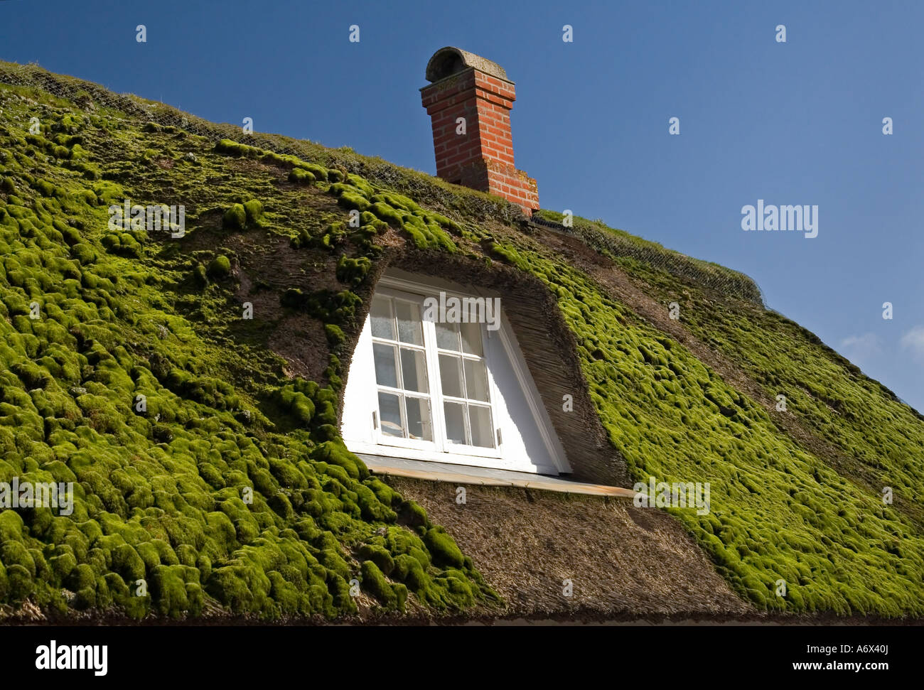 Fanø - or Fanoe - cottage with moss covered thatched roof. Fanø Denmark ...