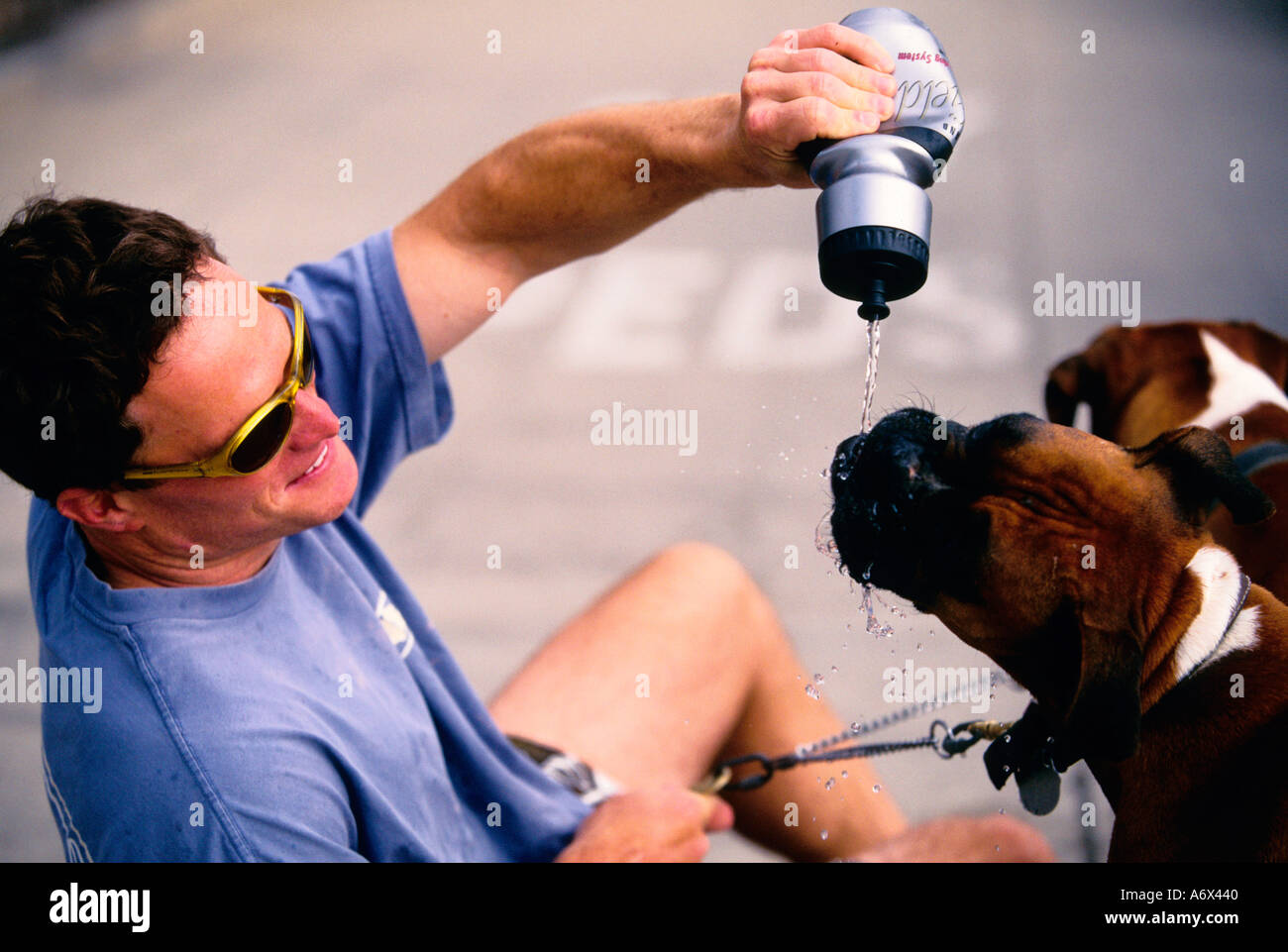 Man dog drink water from hi-res stock photography and images - Alamy