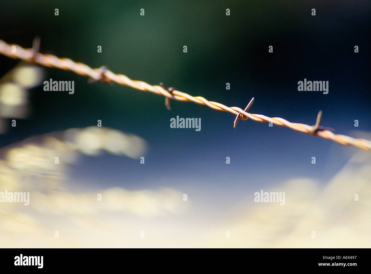 detail photo of barbed wire Stock Photo - Alamy