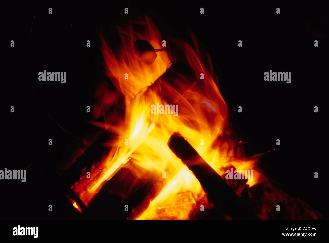 Athletic camp hi-res stock photography and images - Alamy