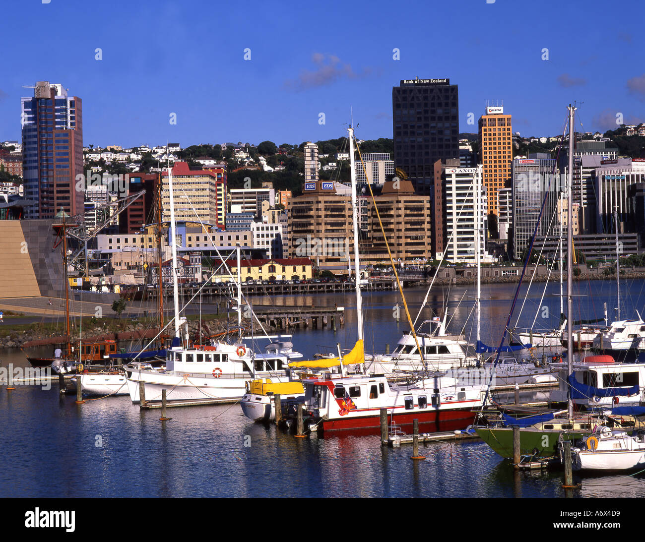 New Zealand Wellington skyline Stock Photo - Alamy