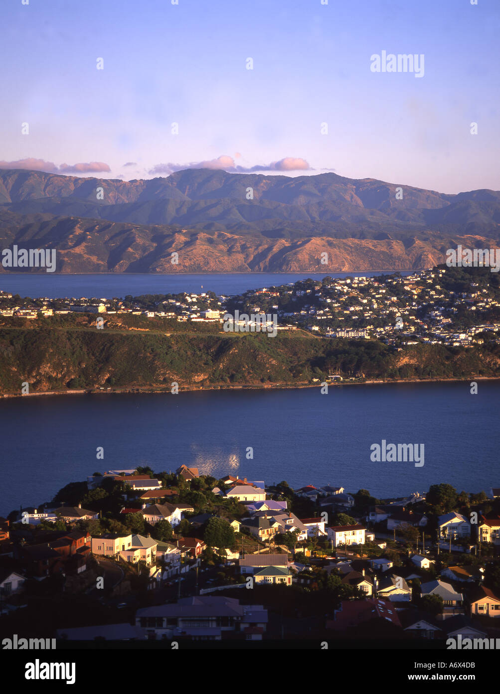 New Zealand Wellington scenery Stock Photo - Alamy