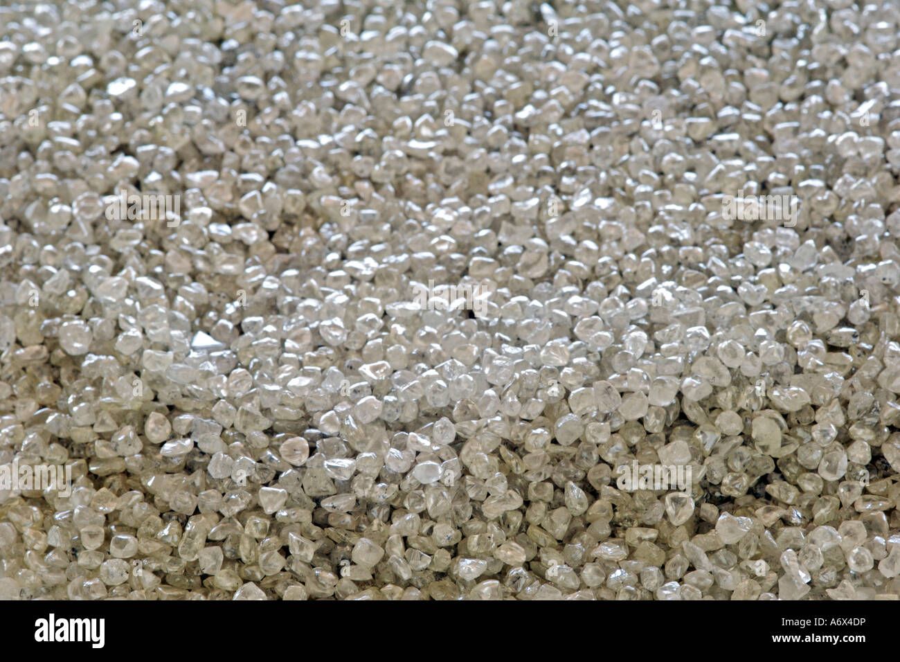 Close-up of a large pile of genuine, uncut diamonds Stock Photo - Alamy