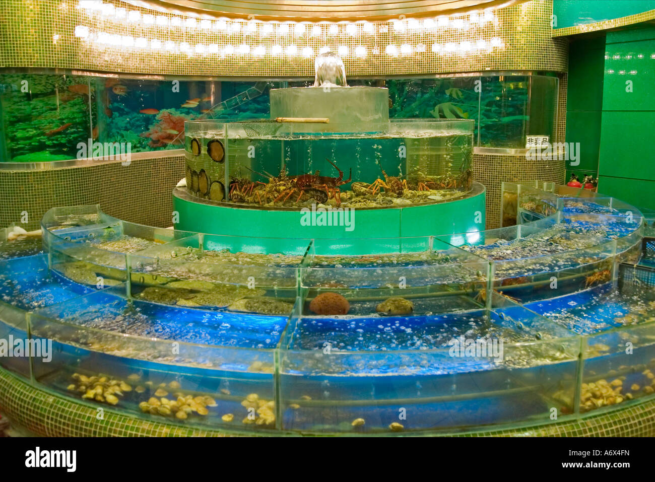 Fish water tanks Beijing China Stock Photo - Alamy