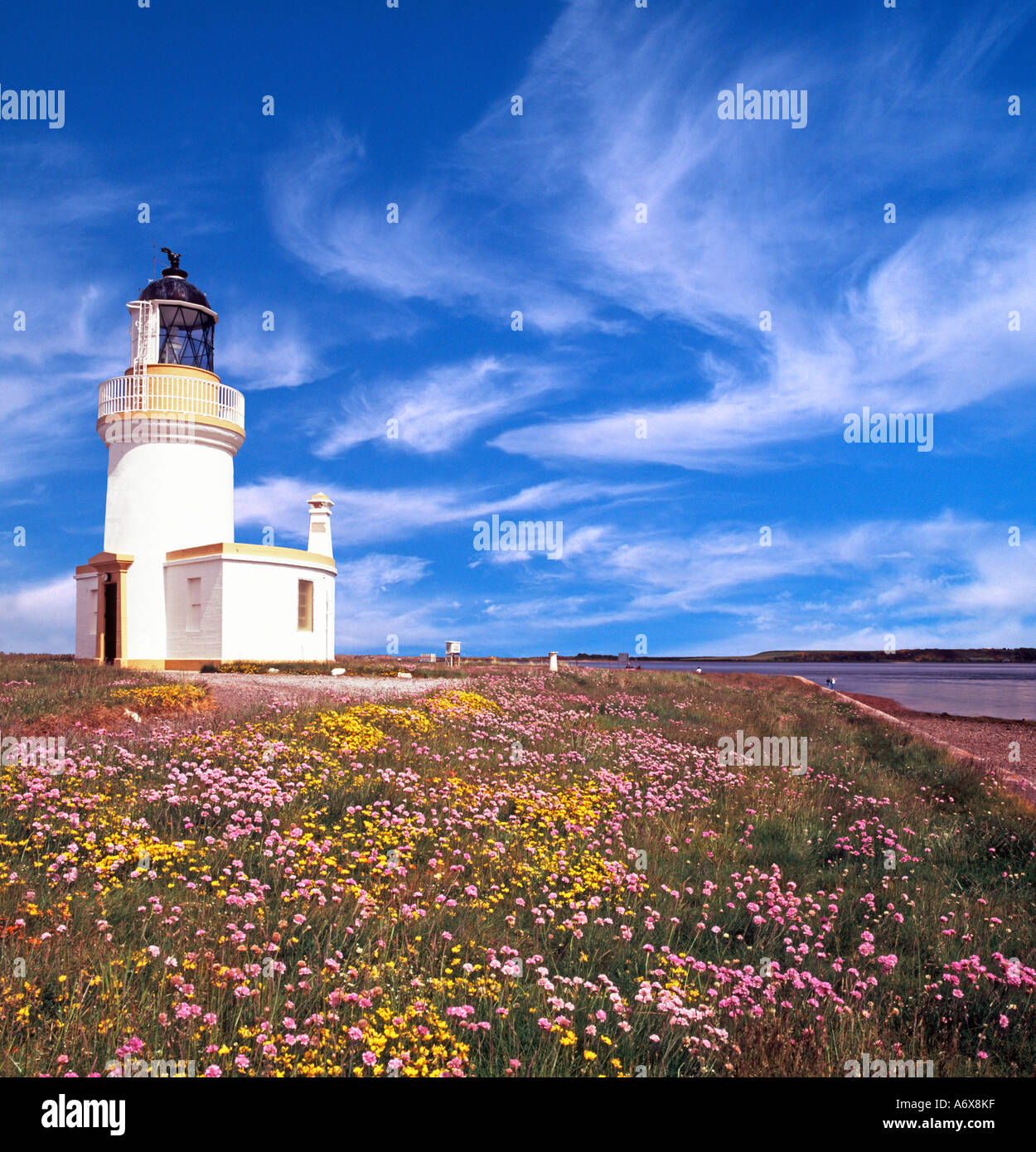 Chanonry Point Lighthouse, Moray Firth, Scotland, UK Stock Photo - Alamy