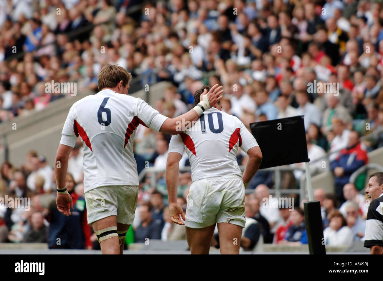 The rugby world cup celebration hi-res stock photography and images - Alamy