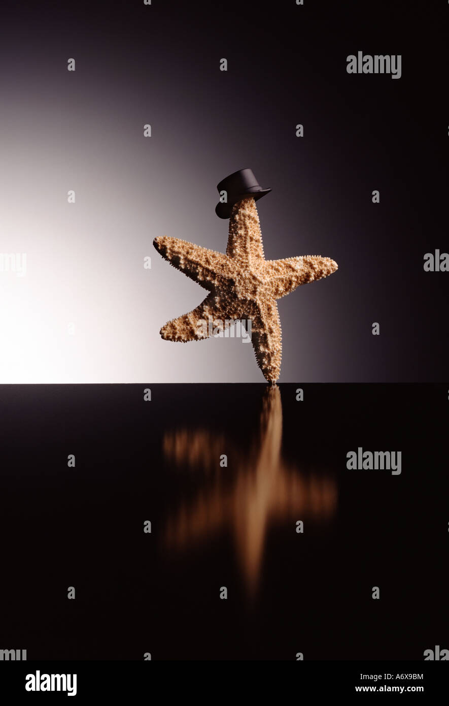 A star fish dancing with a top hat on Stock Photo - Alamy
