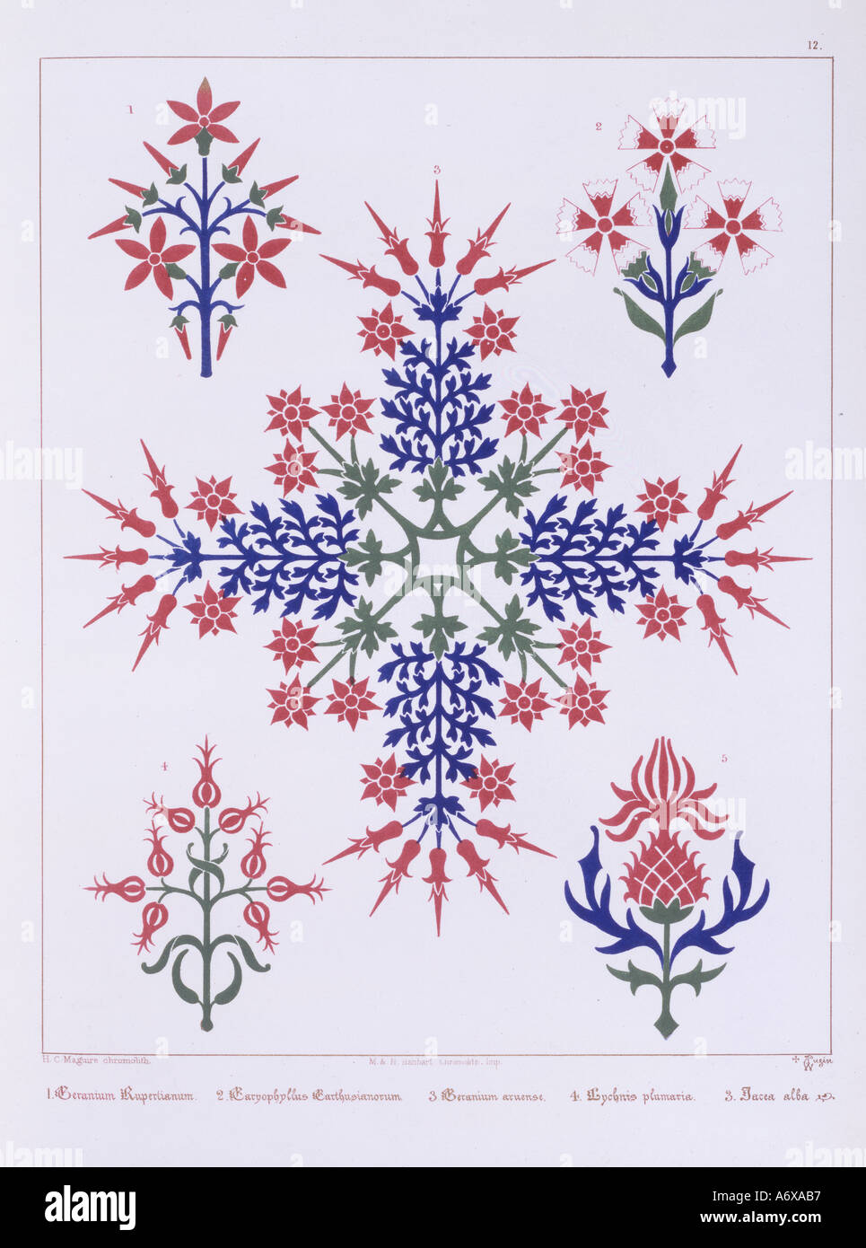 Awn Pugin High Resolution Stock Photography and Images - Alamy