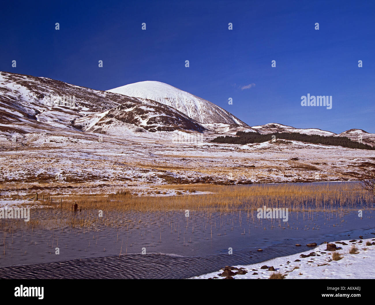 ISLE OF SKYE SCOTTISH HIGHLANDS UK February Frozen reeds in Loch Cill ...