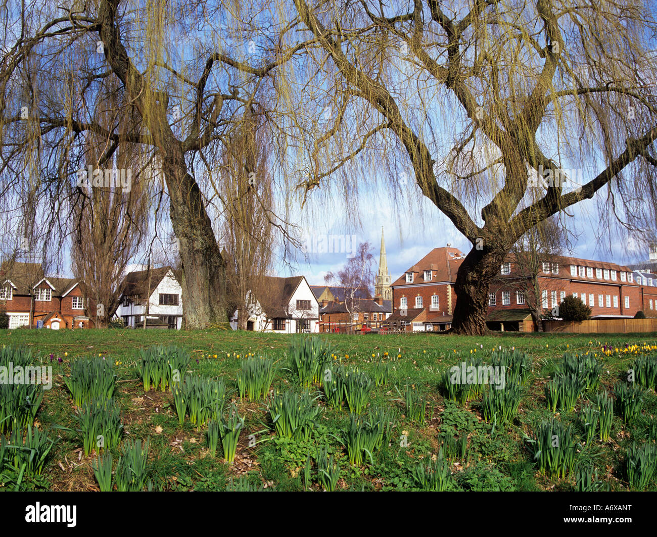 Farnham town centre hi-res stock photography and images - Alamy