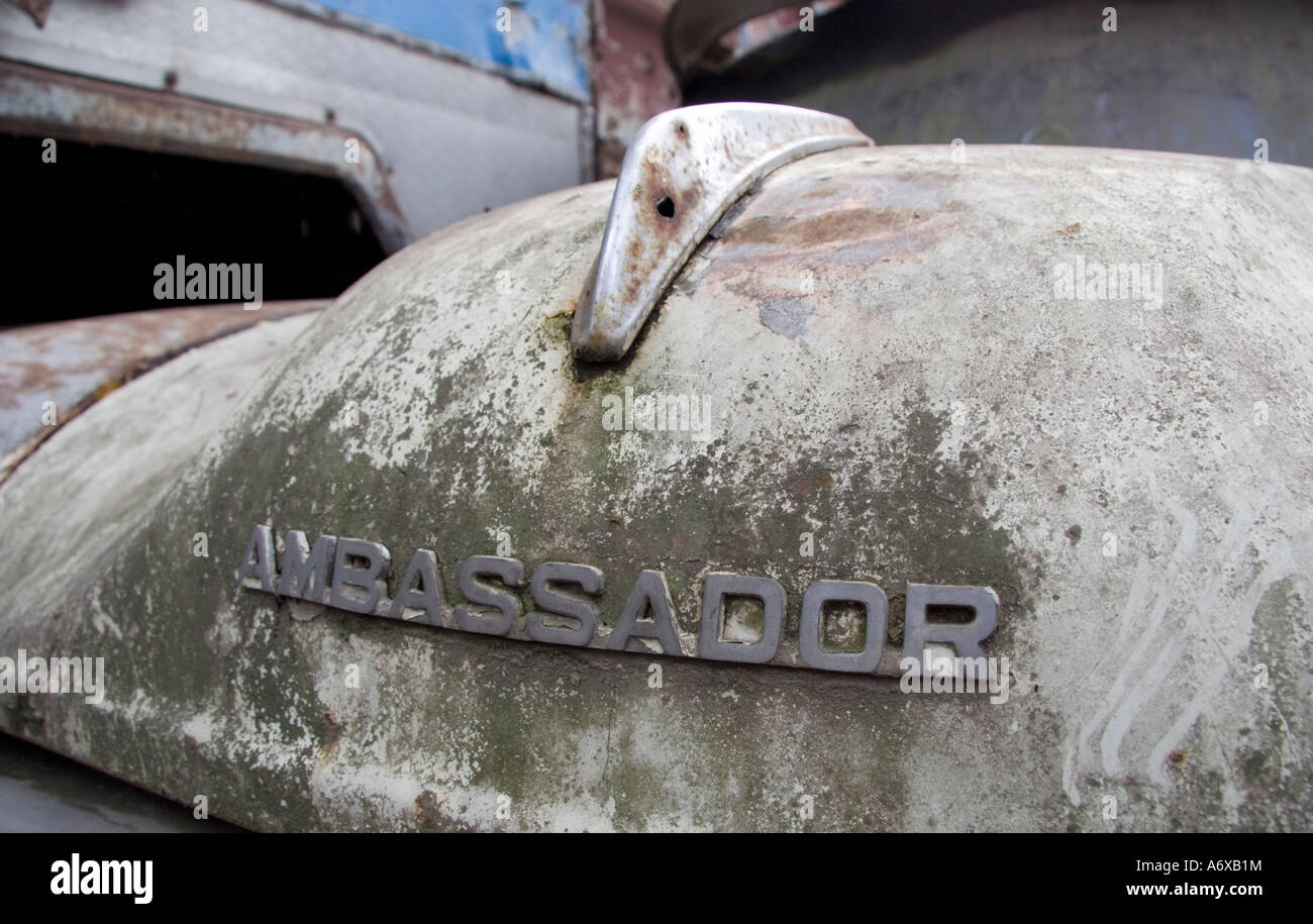 Rusting Hindustan Ambassador Car Stock Photo - Alamy