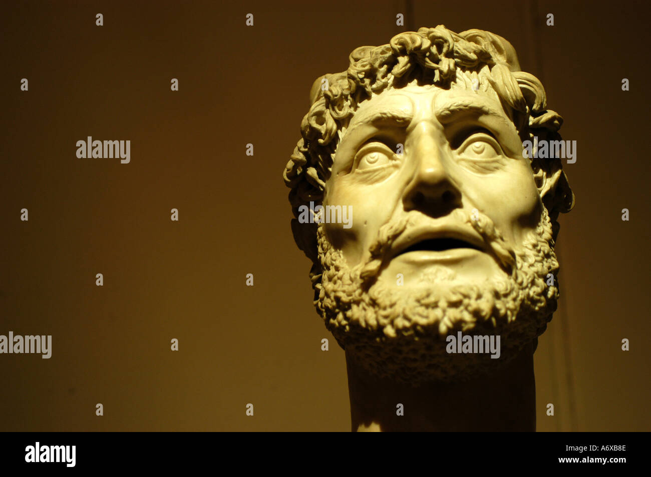 Laurel wreath roman hi-res stock photography and images - Alamy