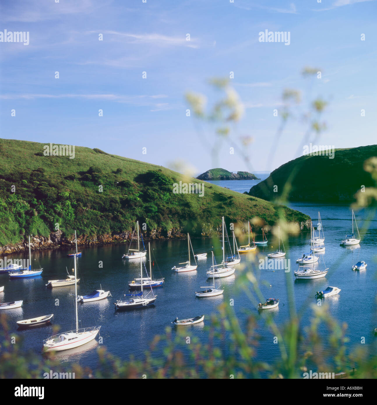A view of Solva Harbour at high tide with moored sailing boats ...