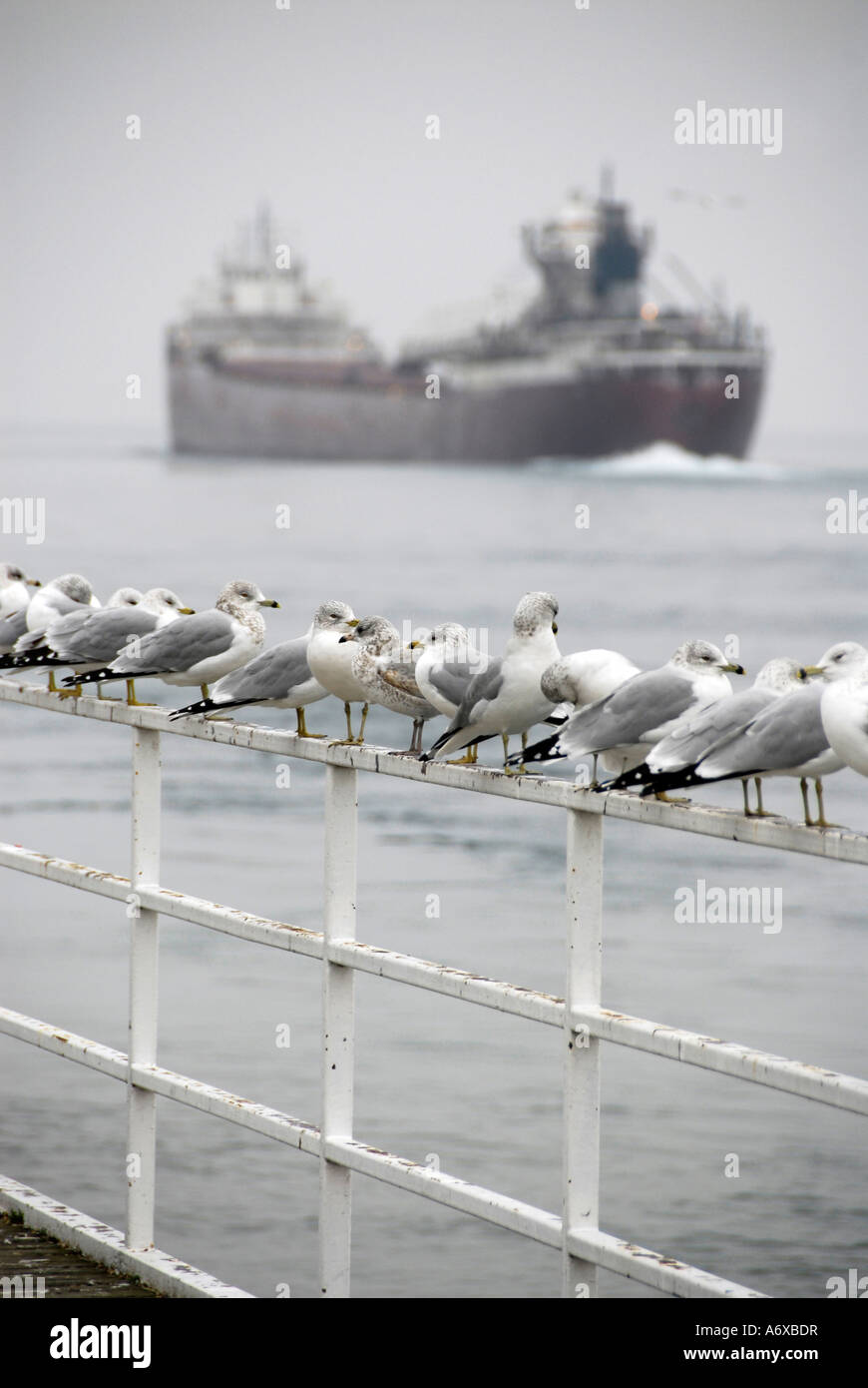 International and domestic Freighter Shipping on the St Clair River at ...