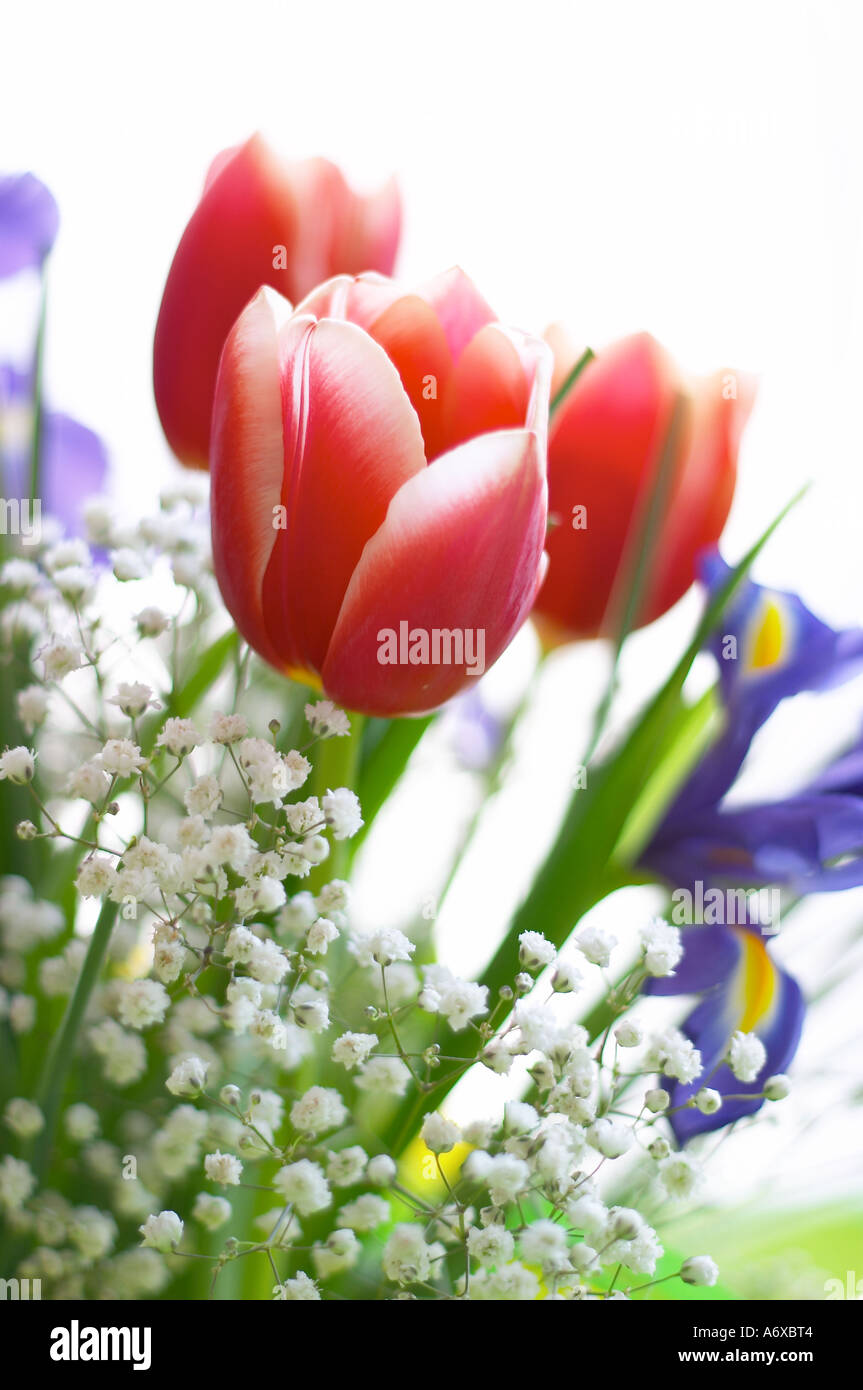 a bunch of flowers Stock Photo - Alamy
