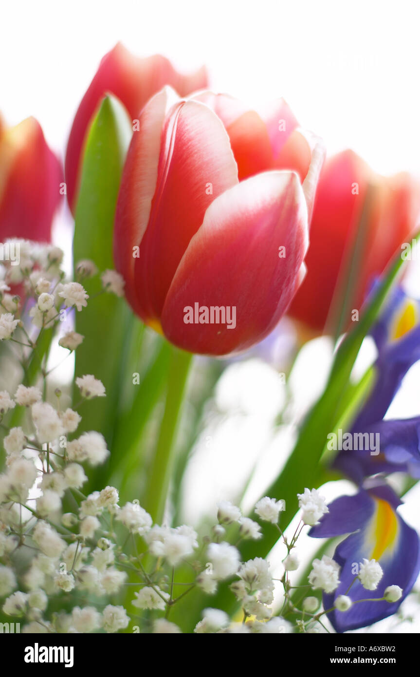 a bunch of flowers Stock Photo - Alamy