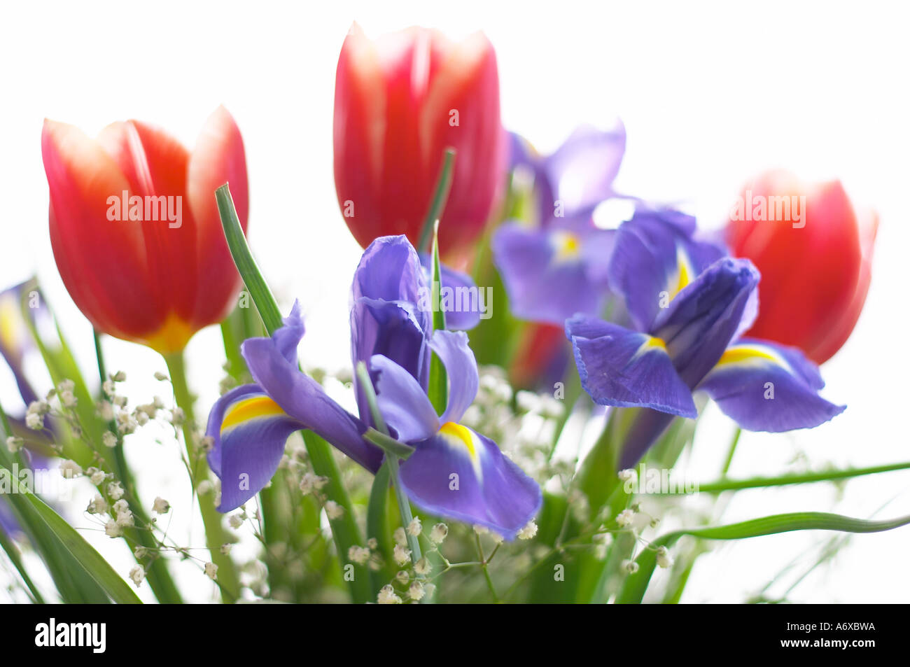 a bunch of flowers Stock Photo - Alamy