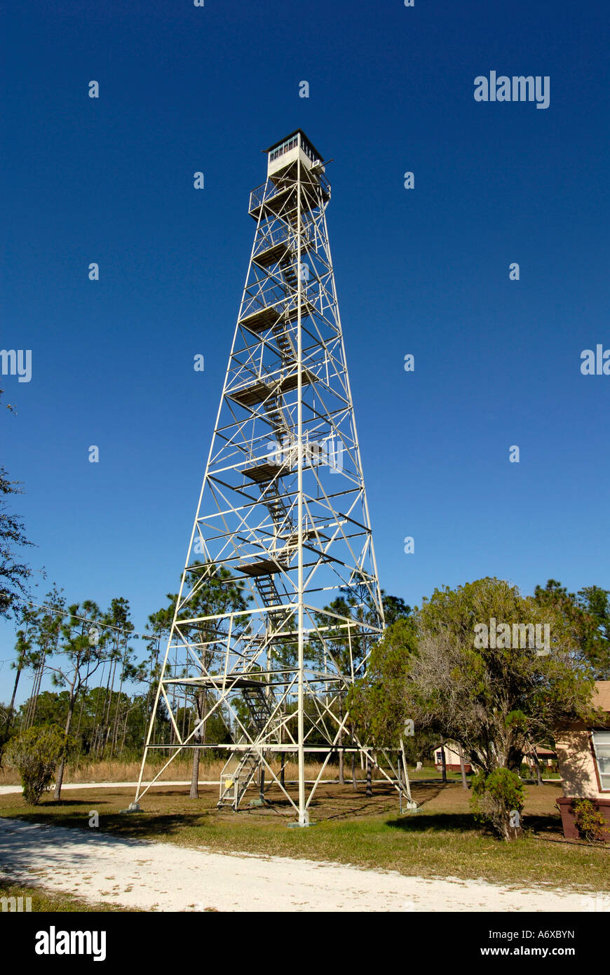Florida forestry division hi-res stock photography and images - Alamy