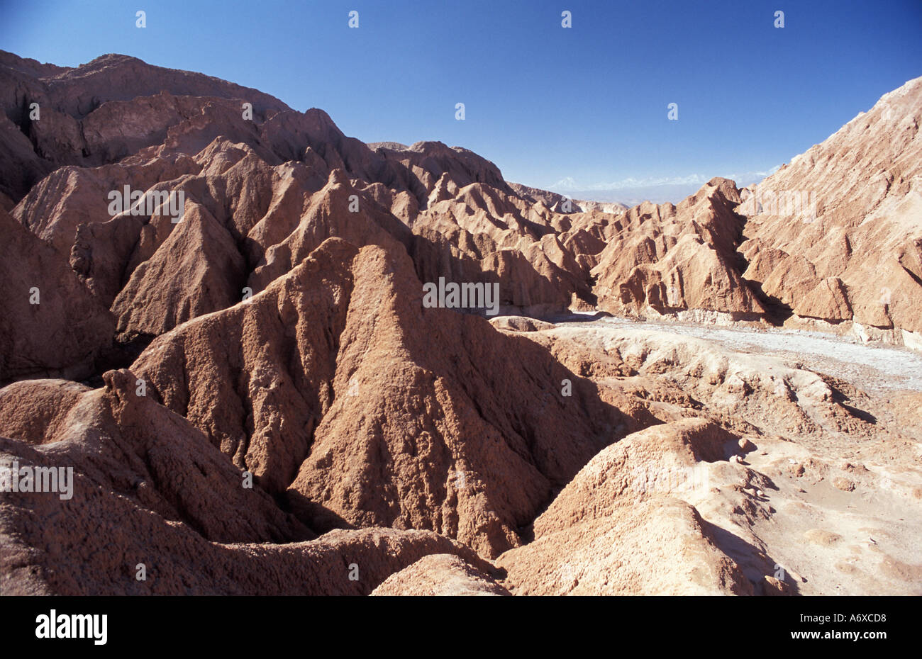 Lunar landscape of the Atacama Desert rutted and eroded by erosion An ...