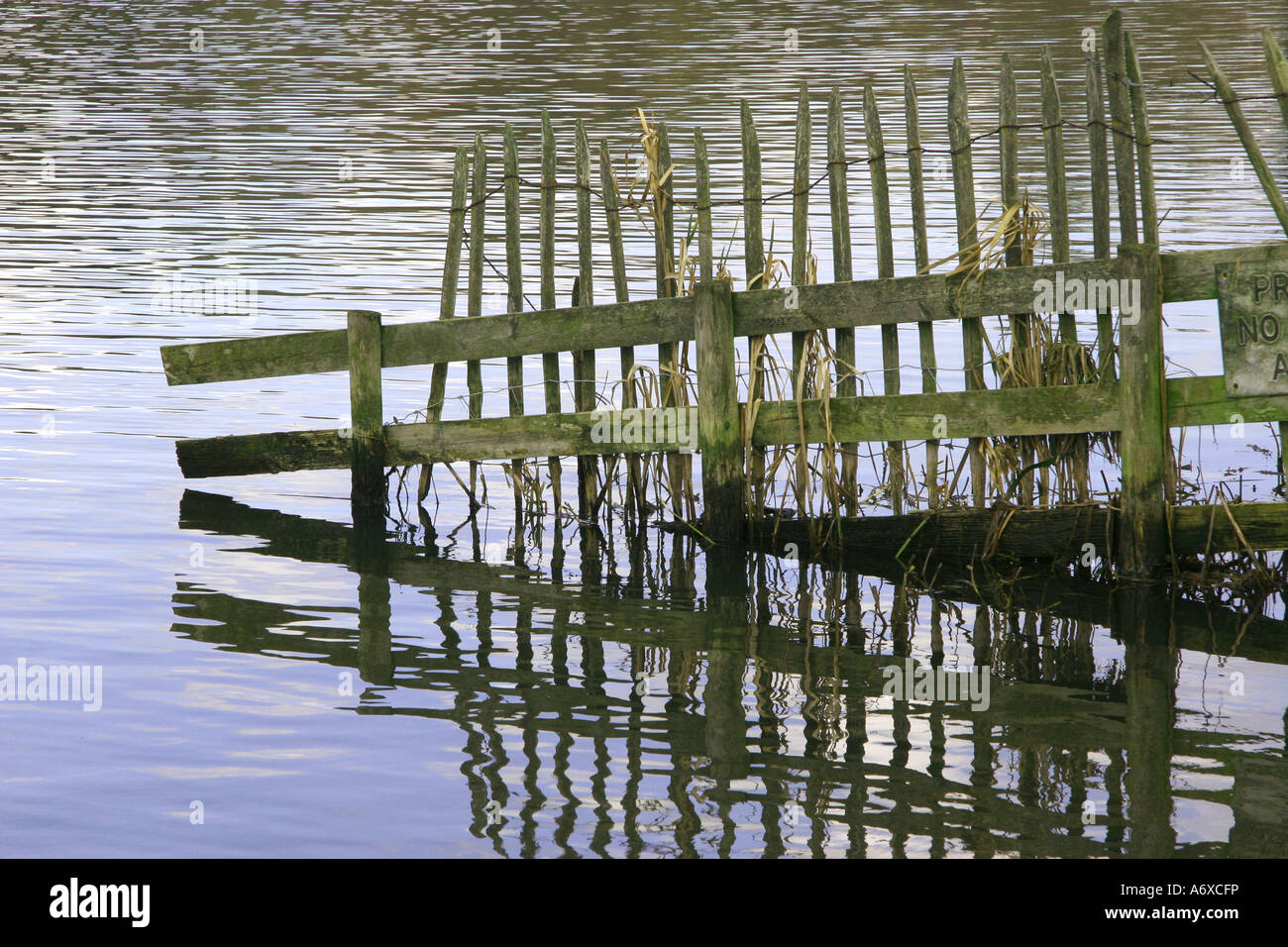Fence in the water Stock Photo - Alamy