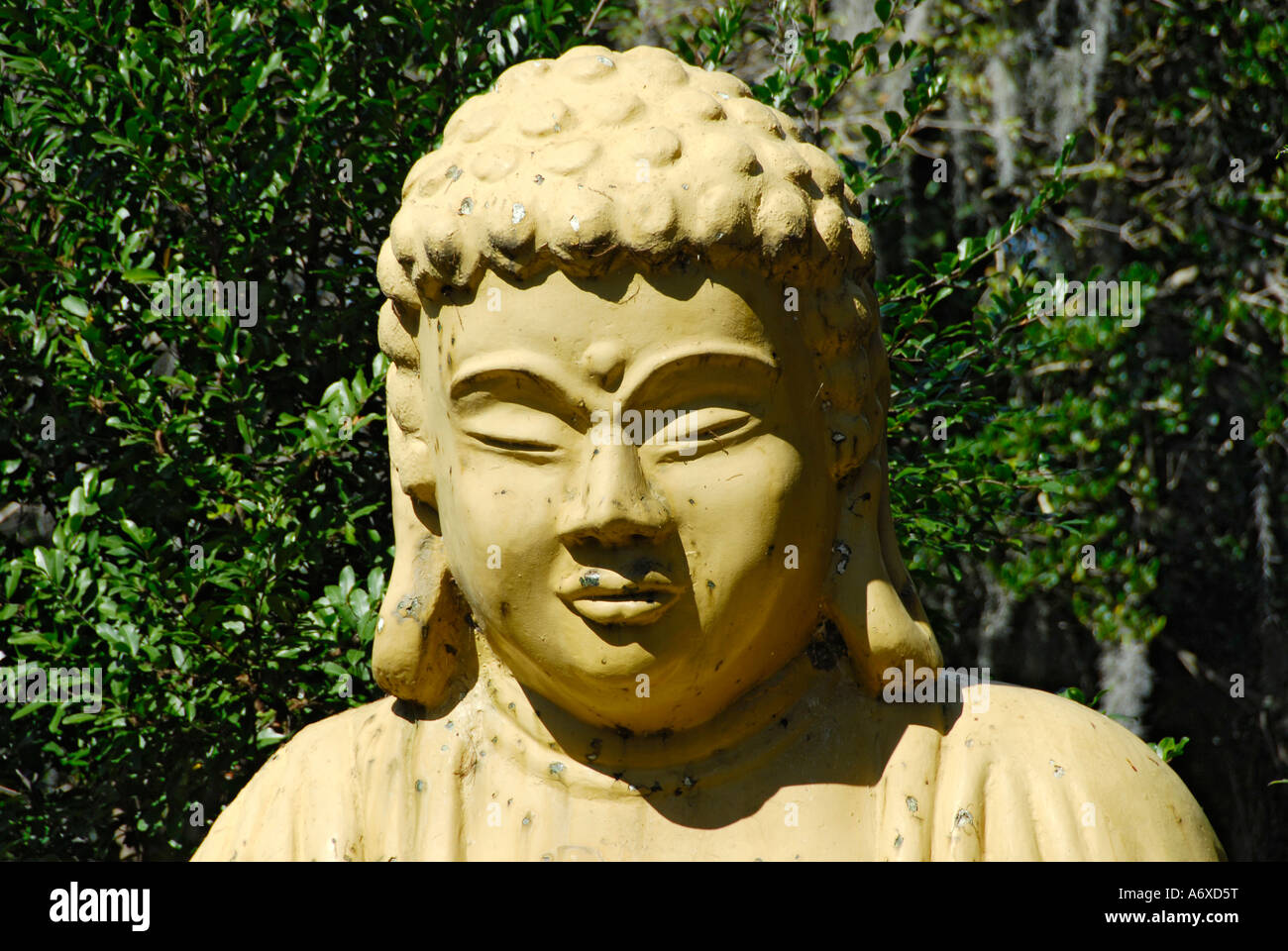 Buddha in Japanese Garden in Botanical Gardens at Cypress Gardens ...