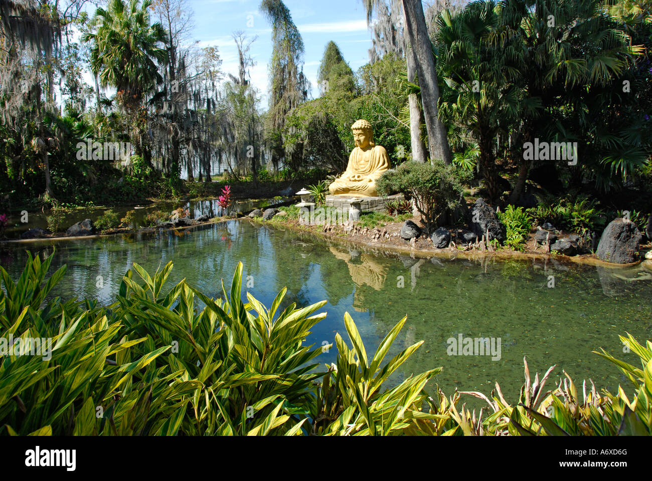 Buddha in Japanese Garden in Botanical Gardens at Cypress Gardens ...