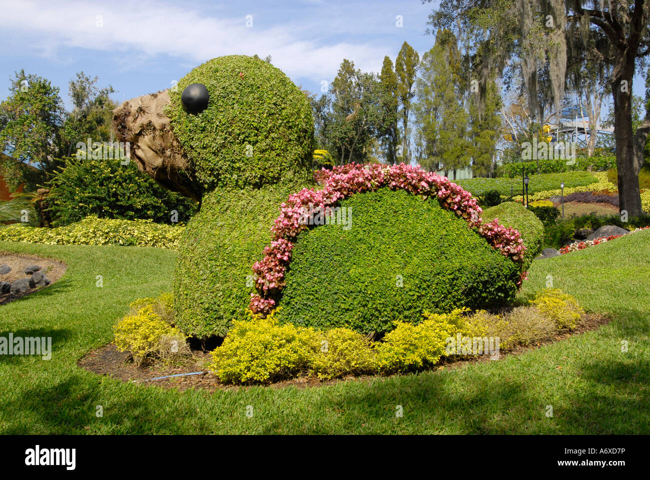 Duck Topiary at Cypress Gardens Winter Haven Florida US Stock Photo - Alamy
