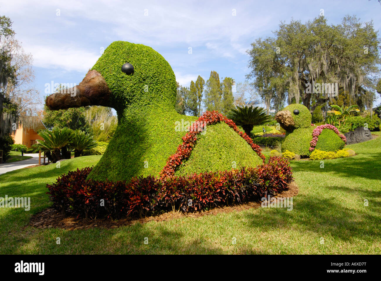 Duck Topiary at Cypress Gardens Winter Haven Florida US Stock Photo - Alamy