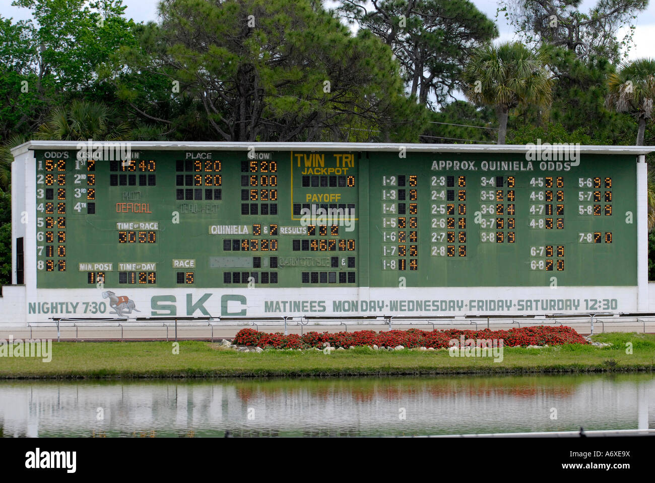 Greyhound dog racing at the Sarasota Kennel Club dog track in Sarasota ...