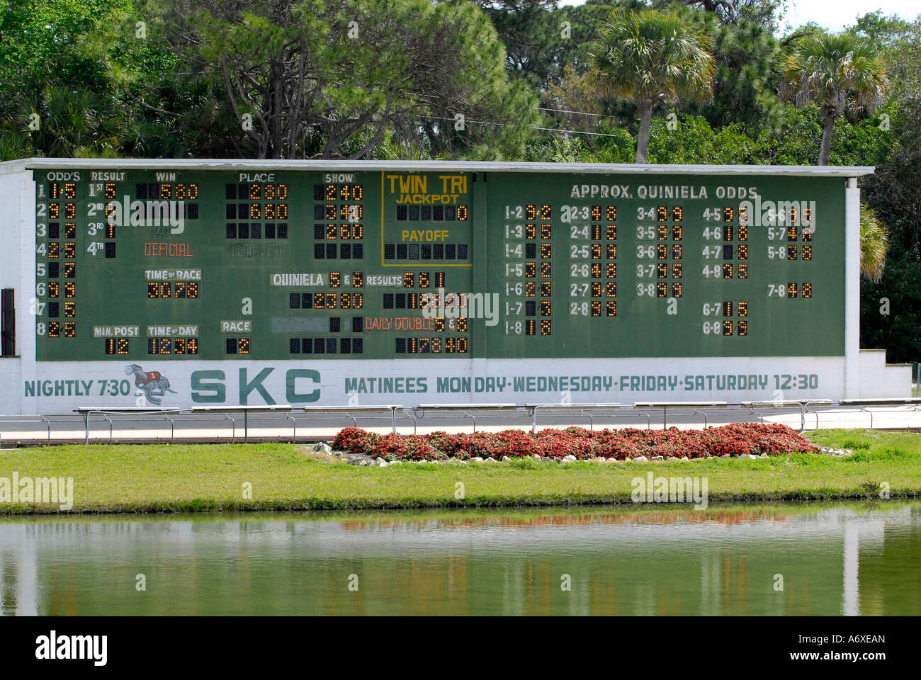 Scoreboard showing number and odds and payouts at the Greyhound dog ...