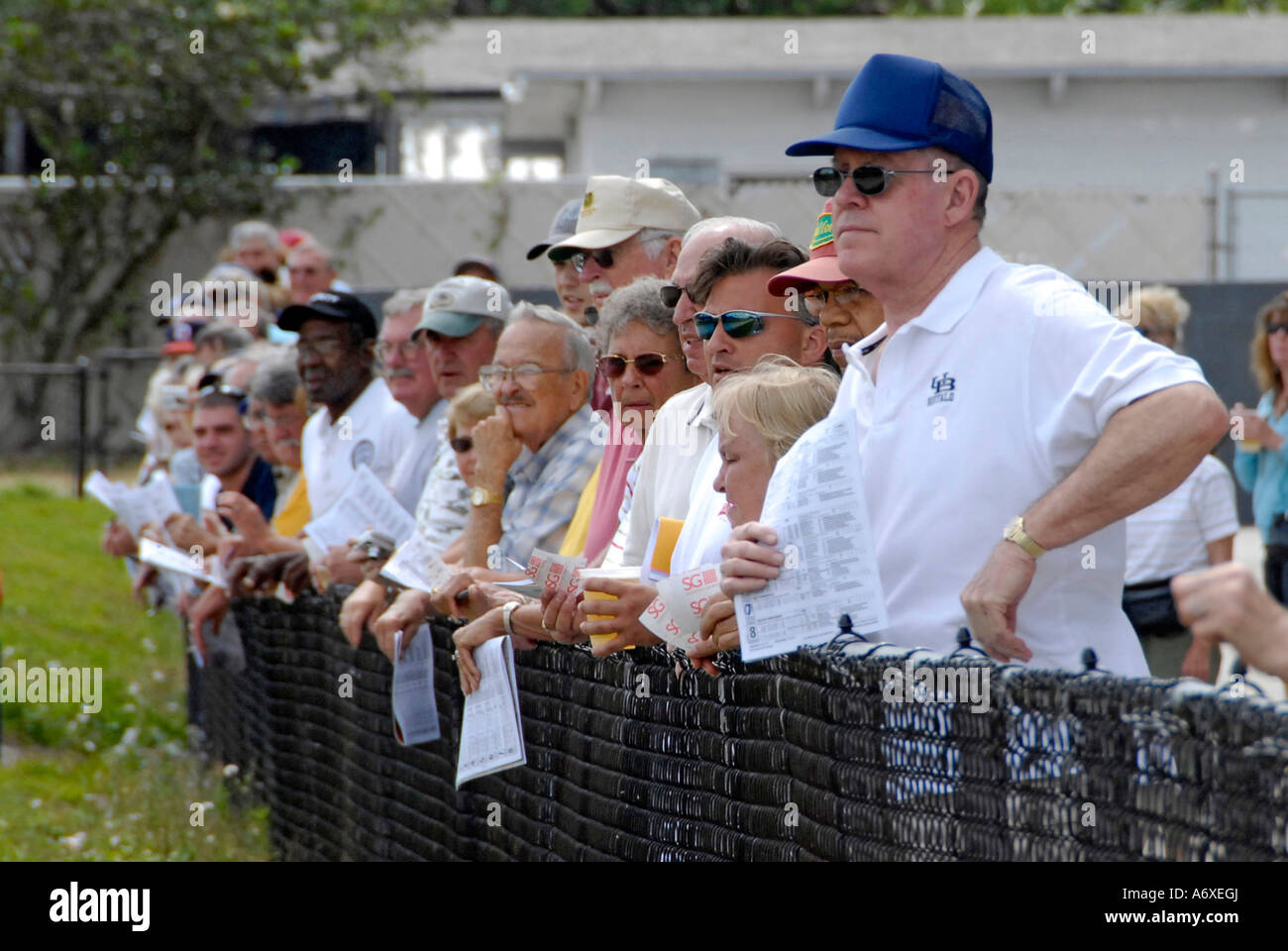 Greyhound on track hi-res stock photography and images - Alamy