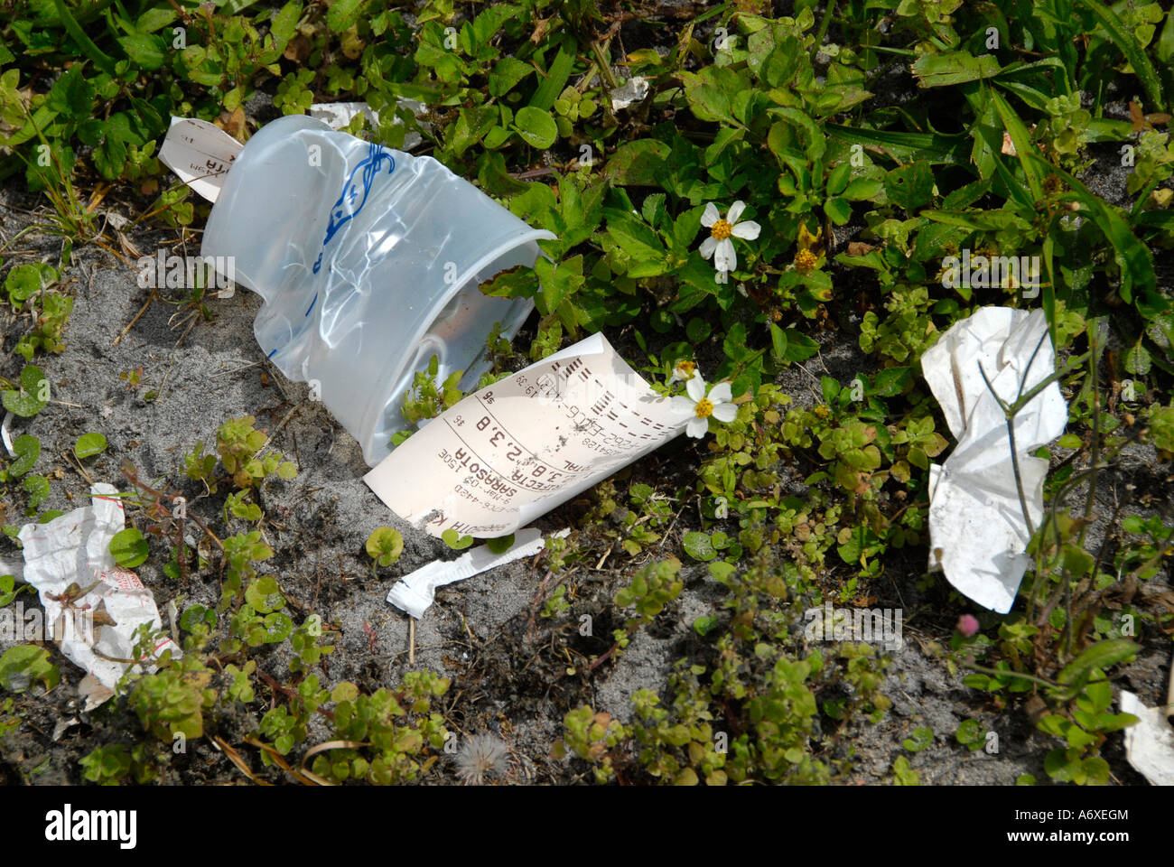 Litter and trash on the ground Stock Photo - Alamy