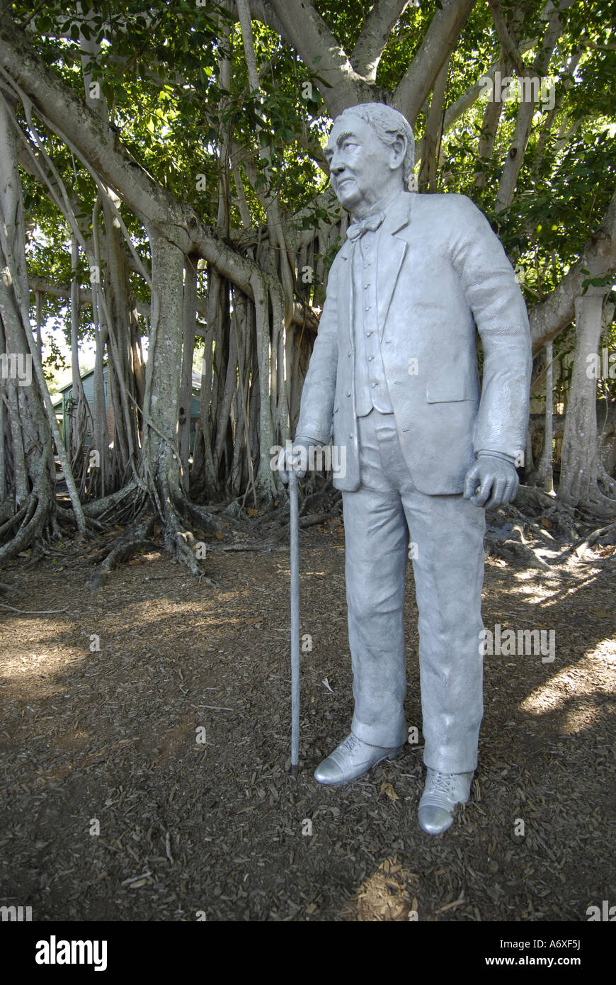 Statue of Thomas Edison in Banyan Tree at Edison and Ford Winter ...