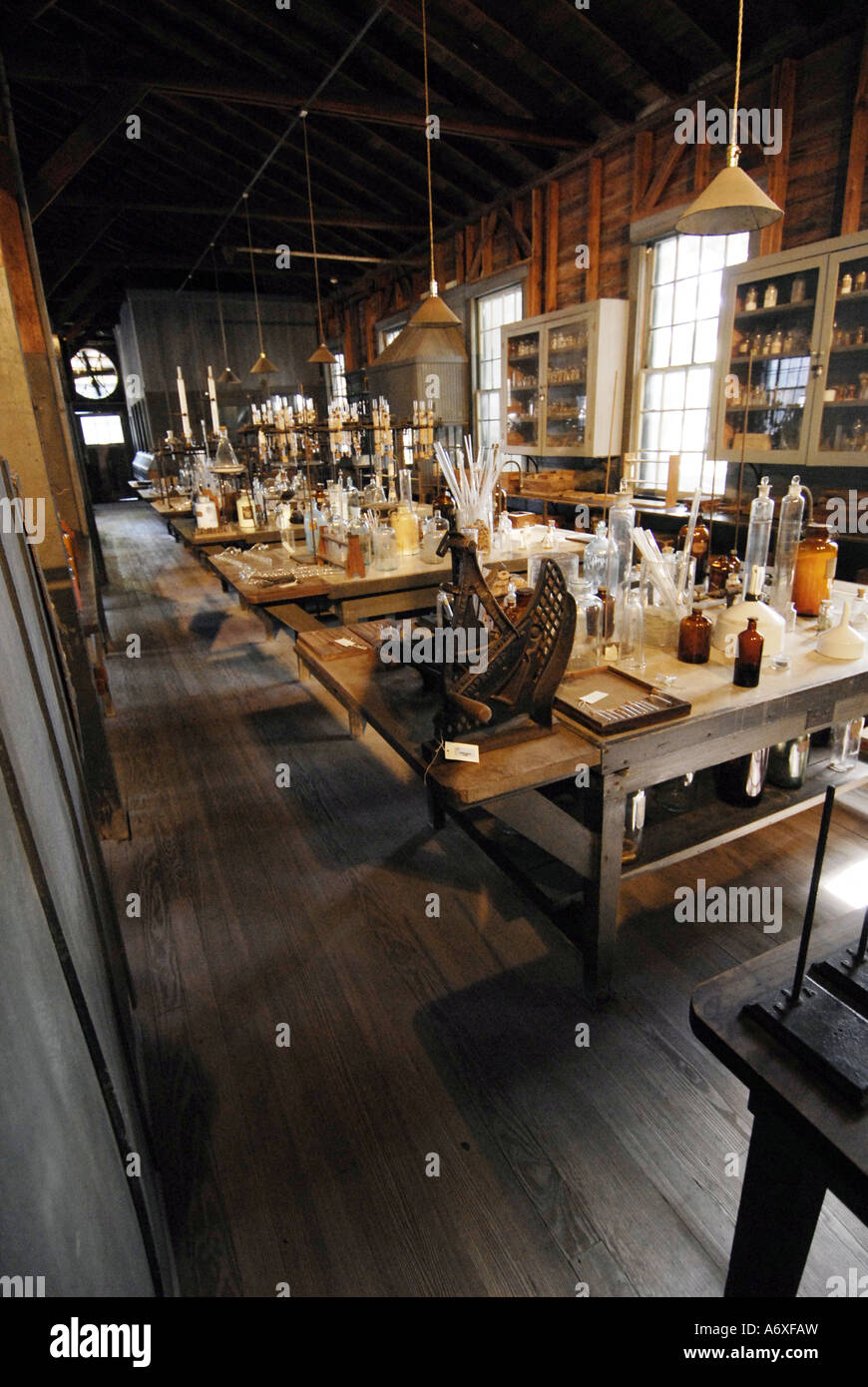 Florida Botanic High Resolution Stock Photography and Images - Alamy