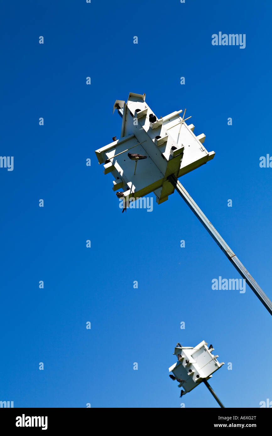 Purple martin houses hi-res stock photography and images - Alamy