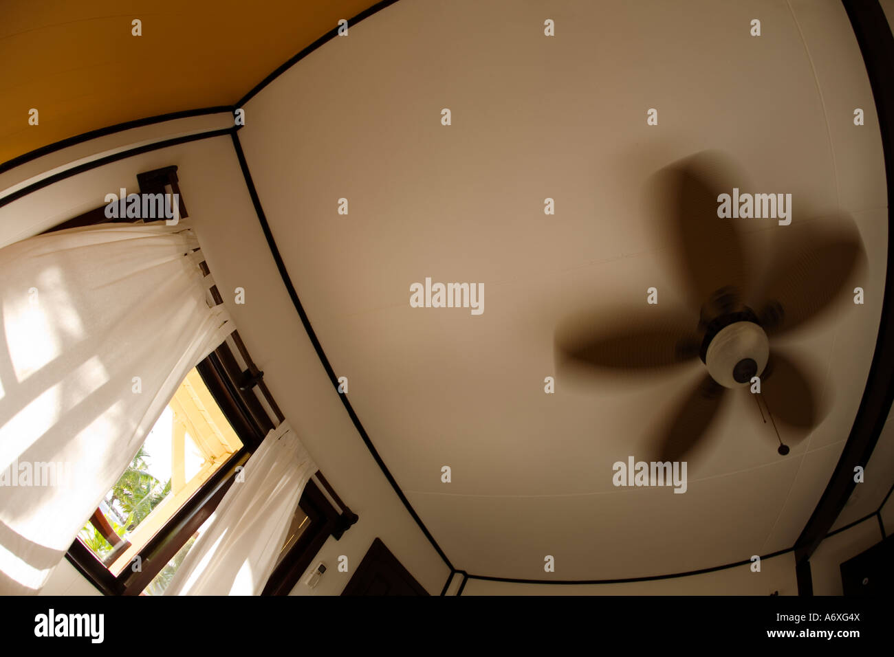 BELIZE Ambergris Caye Ceiling fan curtains at window blowing in breeze ...