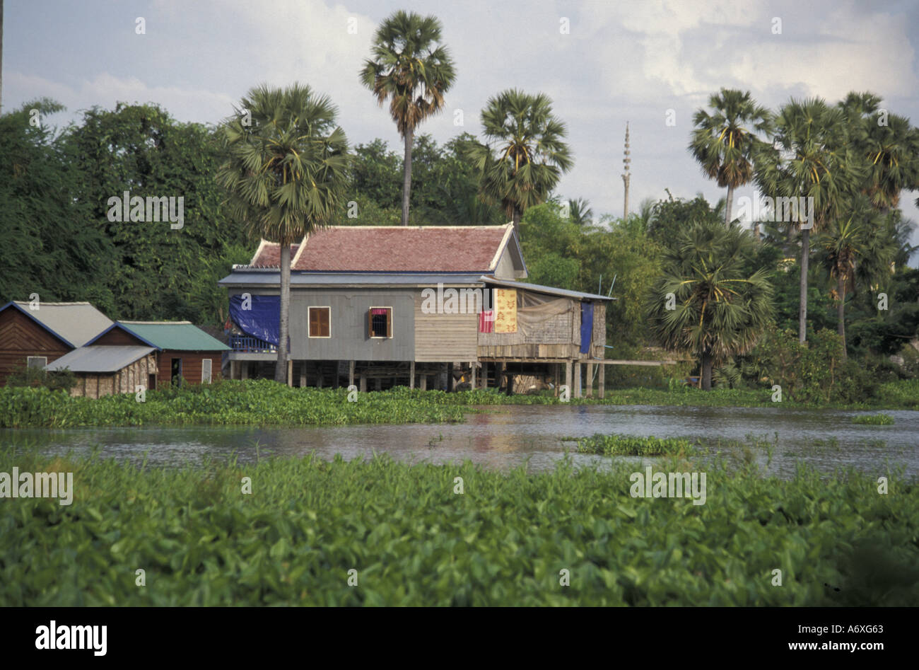 Asia, Cambodia, rural. Stilted farm house and rice paddies Stock Photo ...