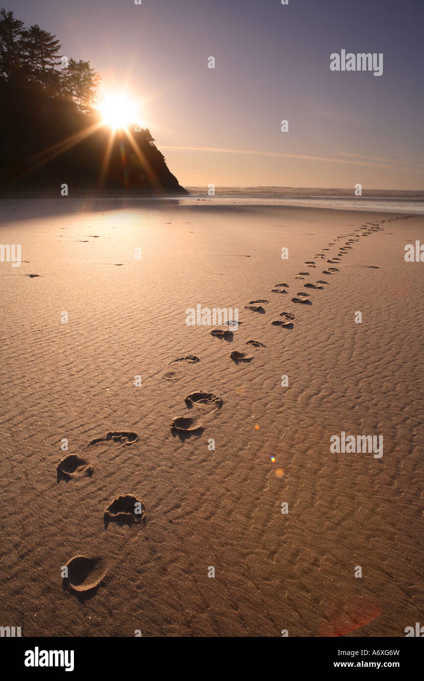 Footprints in the sand Stock Photo - Alamy
