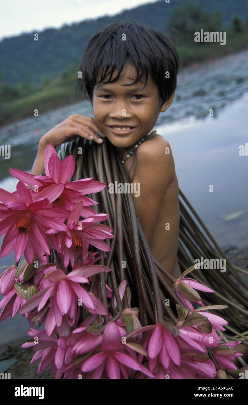 Haversting hi-res stock photography and images - Alamy