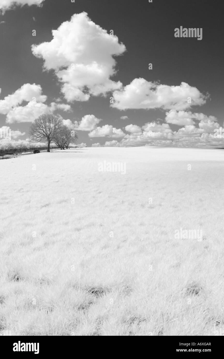 Infrared photo of field and sky Stock Photo - Alamy
