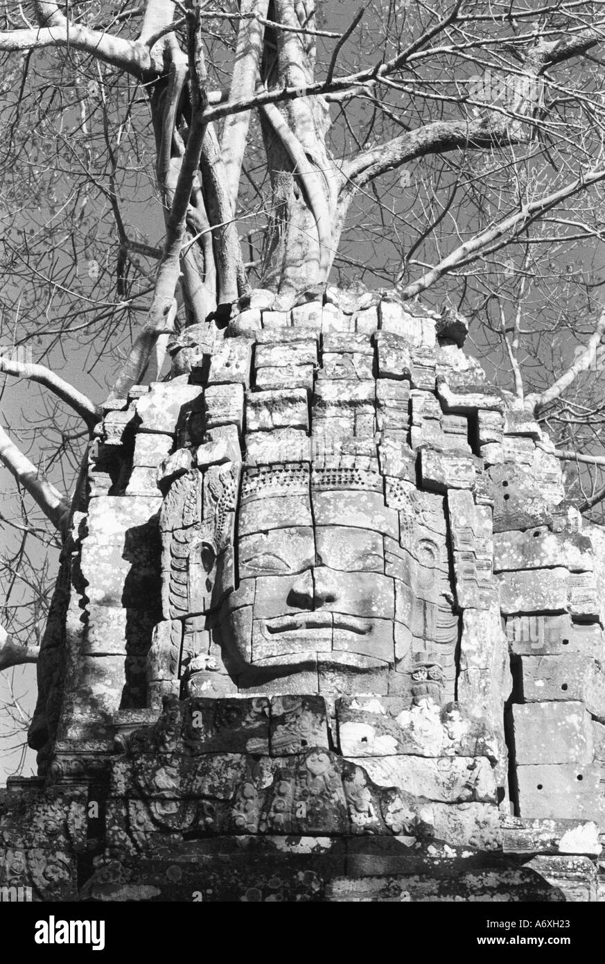 Angkor Cambodia, Head Ta Som Temple Stock Photo - Alamy