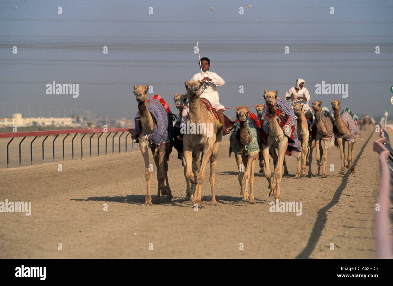 Middle East, United Arab Emirates, Dubai, Camel racing, Dubai Camel ...