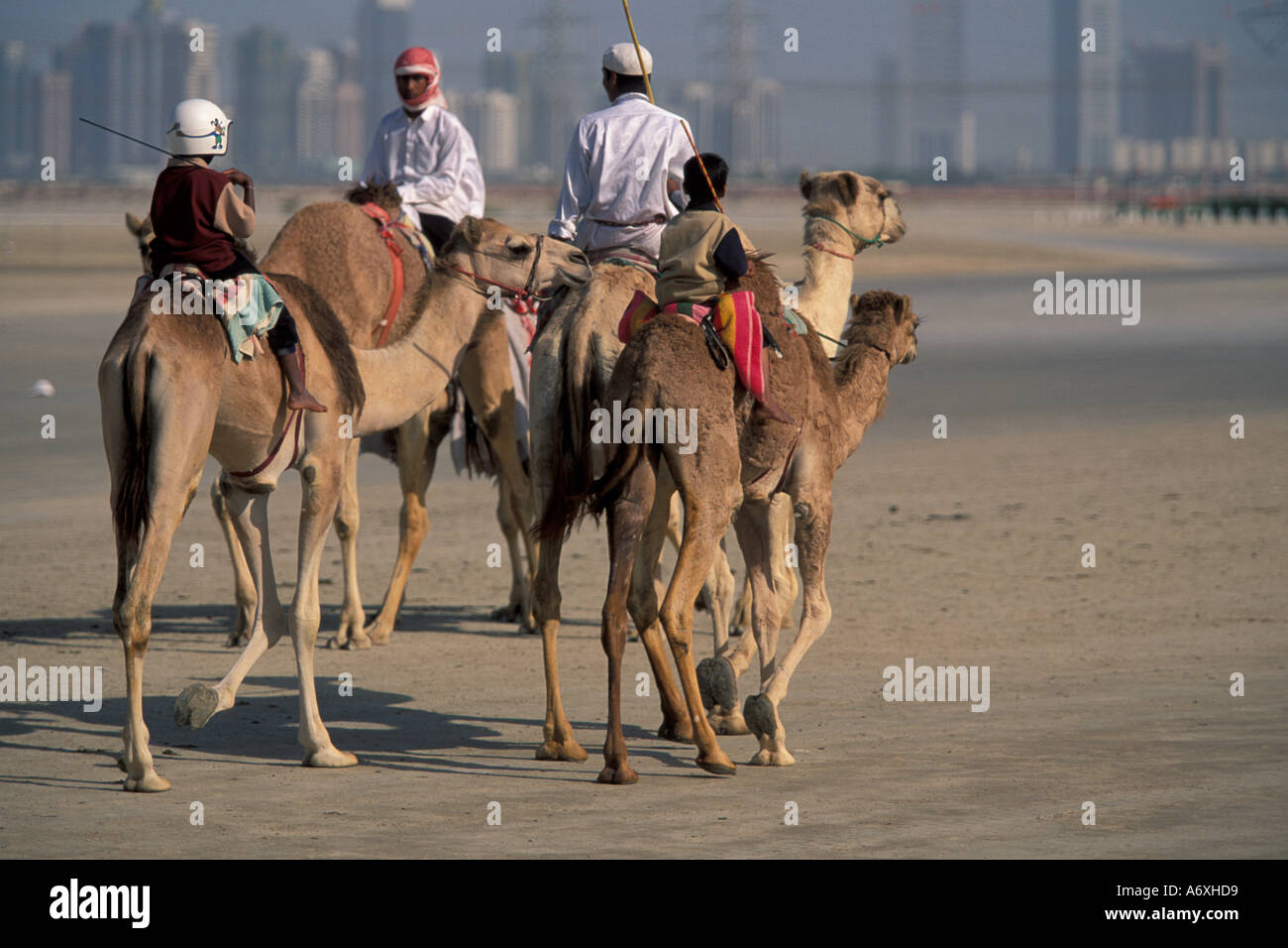 Middle East, United Arab Emirates, Dubai, Children as jockeys (NR ...