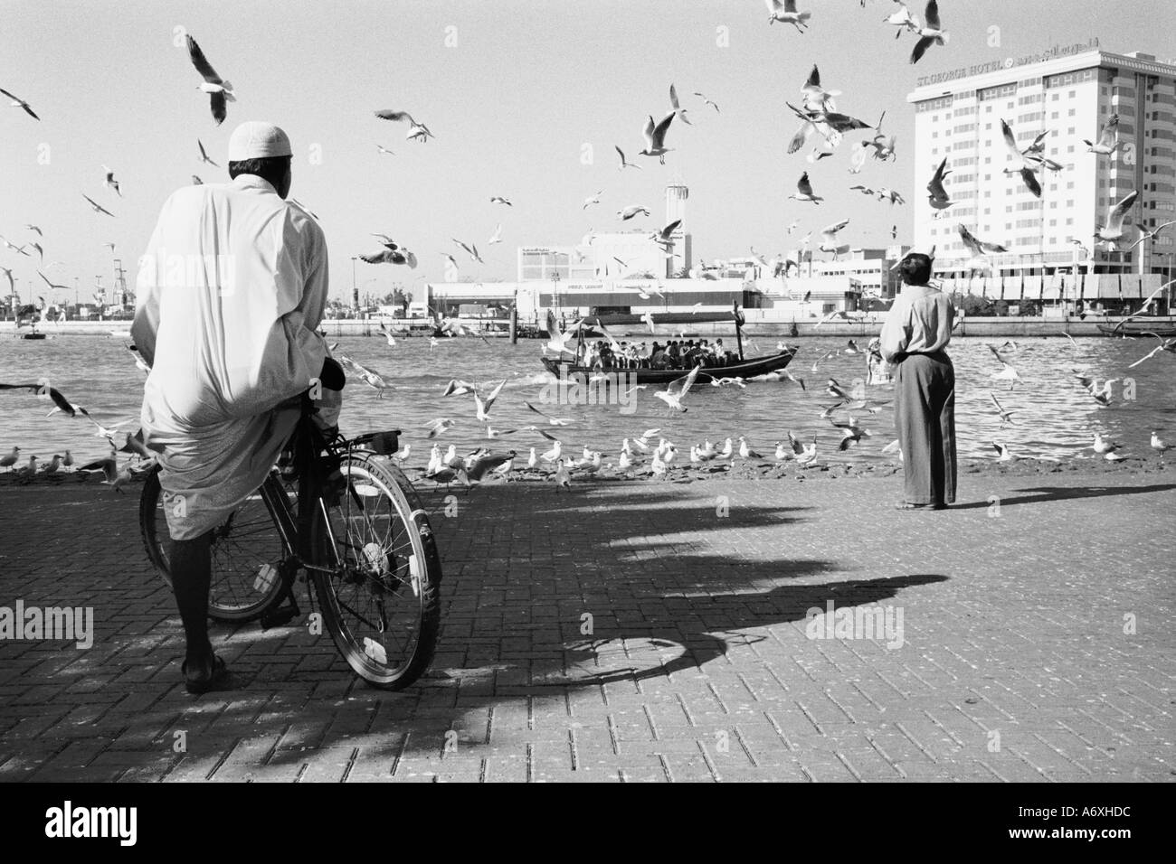 Dubai UAE, Birds & Watcher Dubai Creek Stock Photo - Alamy
