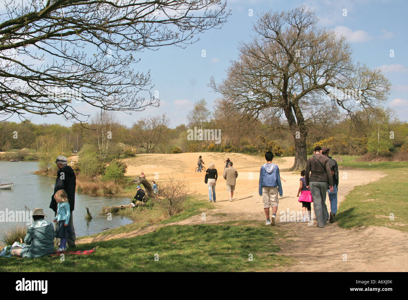 Hollow Ponds, Epping Forest Stock Photo - Alamy