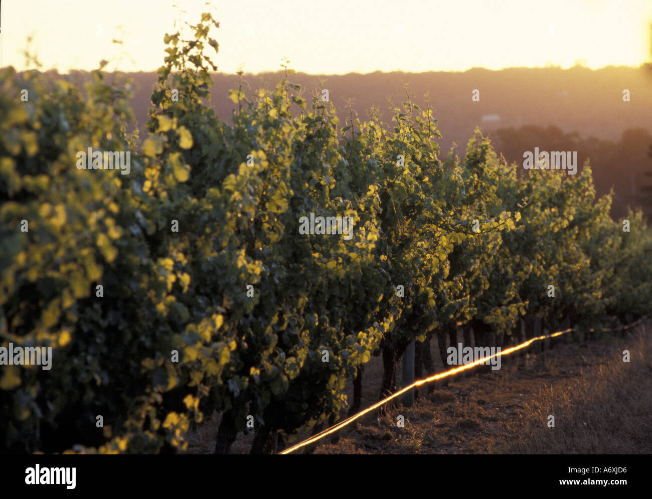 Western australia margaret river area hi-res stock photography and ...